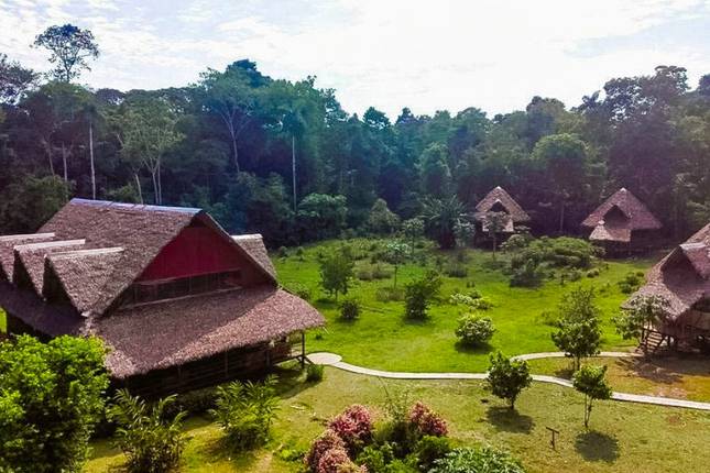 10 Best Amazon Rainforest Hiking & Trekking Tours (with 398 Reviews ...