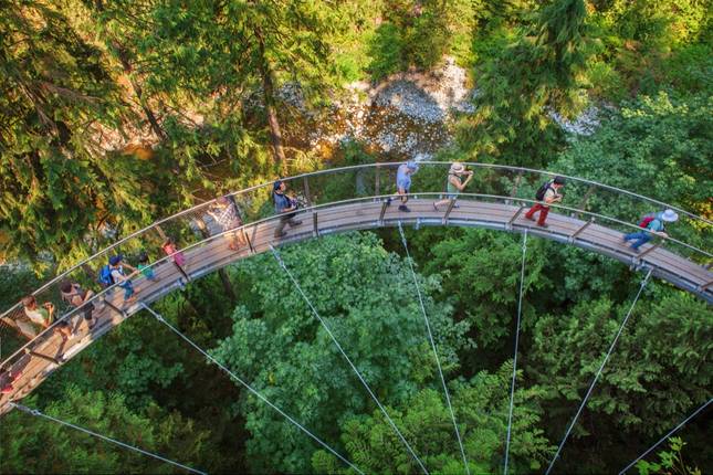 10 Best Canada Tours & Trips 2023/2024 - TourRadar
