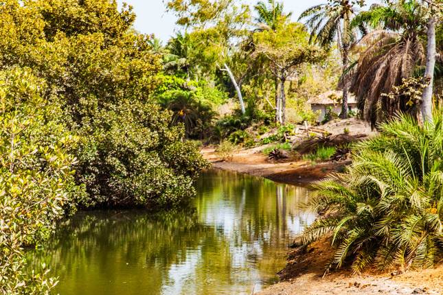 8 Best Gambia Tours & Trips 2024 - TourRadar