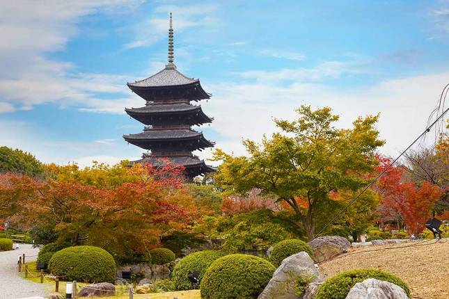 10 Best 7 Day Japan Tours & Trips - TourRadar