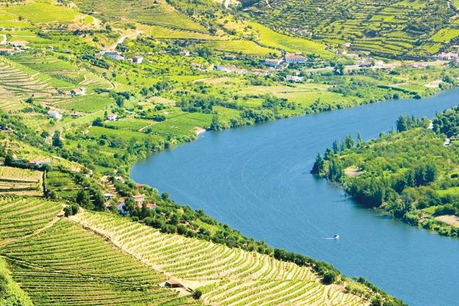 The 10 Best Douro River Cruises 2021/2022 (with 64 Reviews) - TourRadar