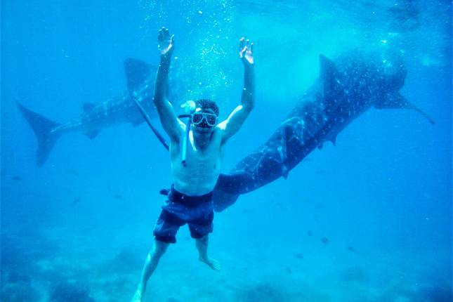 10 Best Philippines Tours & Trips 2023/2024 - TourRadar