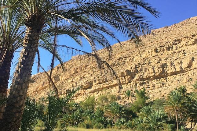 10 Best Oman Tours & Vacation Packages 2021/2022 - TourRadar