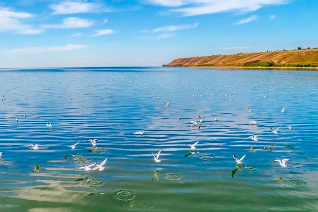 10 Best Black Sea Tours & Vacation Packages 2021/2022 - TourRadar