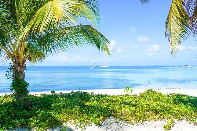 10 Best Belize Tours & Trips 2021/2022 - TourRadar