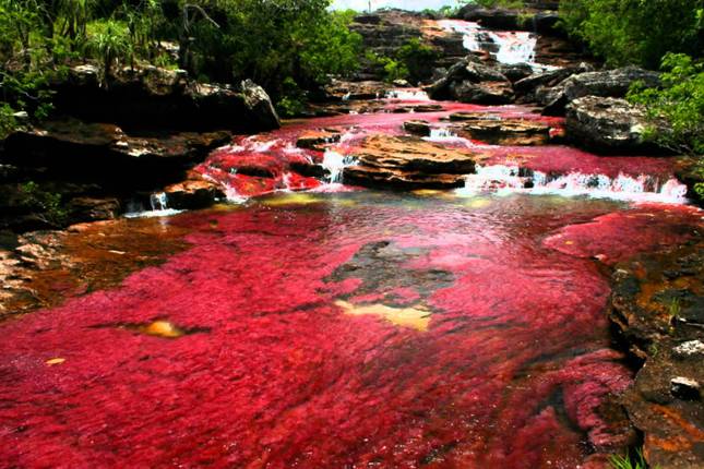 10 Best Colombia Amazon Tours & Vacation Packages 2024 - TourRadar