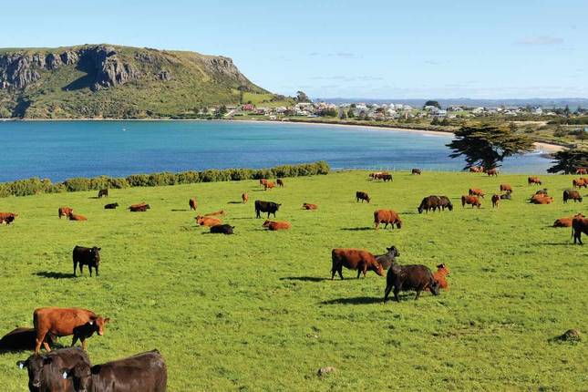 10 Best Coach / Bus Tours in Australia - Biggest Selection, Best Prices ...