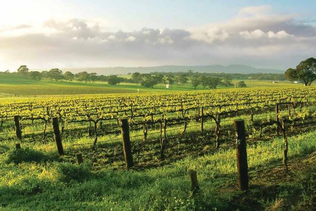 10 Best Coach / Bus Tours in Australia - Biggest Selection, Best Prices ...