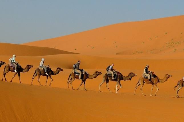 10 Best Sahara Desert Tours & Vacation Packages 2021/2022 - TourRadar