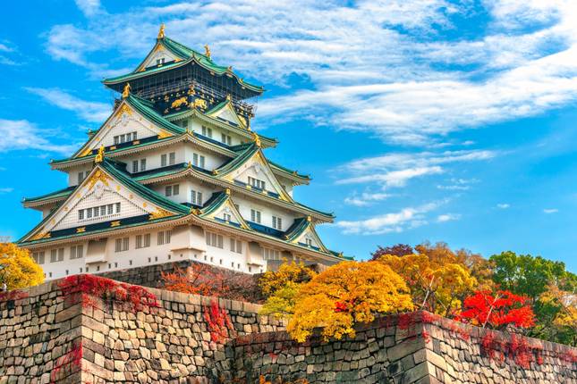 Japan in a Week by Contiki with 1 Tour Review - TourRadar