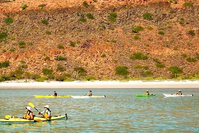 10 Best Baja Tours & Trips 2024/2025 - TourRadar