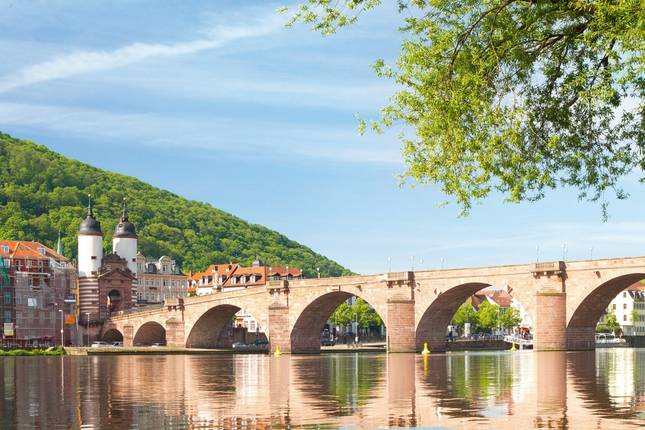 The 10 Best Main River Cruises 2022/2023 (with 217 Reviews) - TourRadar