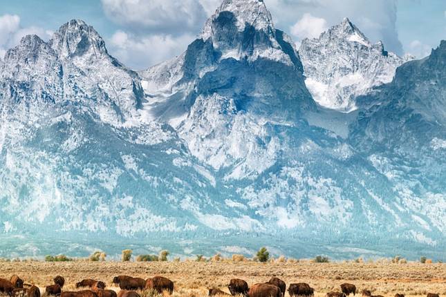 10 Best Coach / Bus Tours in USA 2022/2023 - TourRadar