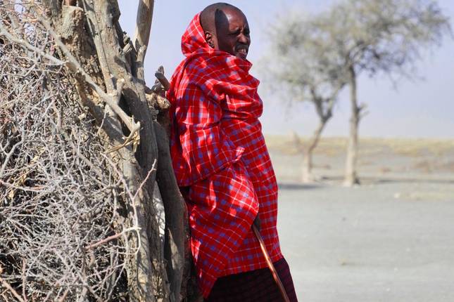 10 Amazing Great Migration Tours 2023/2024 - Biggest Selection, Best ...