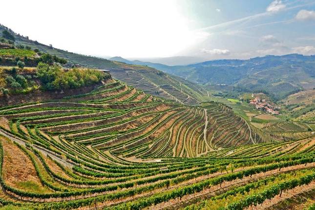 10 Best Food & Culinary Tours in Portugal 2023/2024 - TourRadar