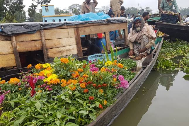 10 Best Bangladesh Tours & Trips 2024 - TourRadar