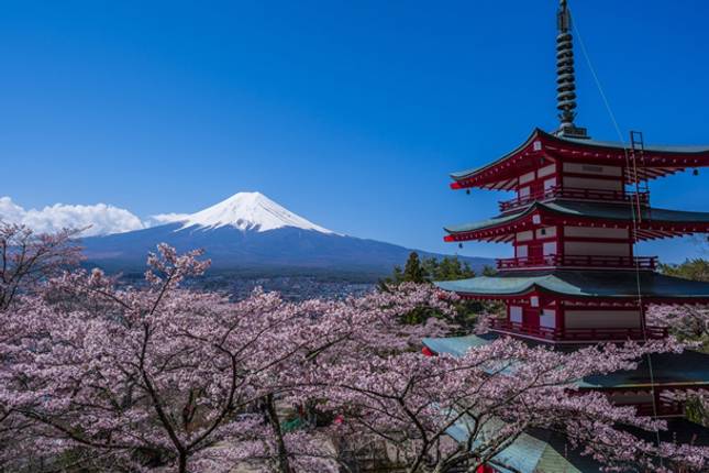 10 Best Southern Japan Tours & Trips 2025/2026 - TourRadar