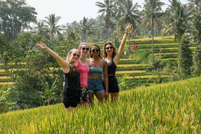 Feel Free Travel - 525 Reviews - TourRadar