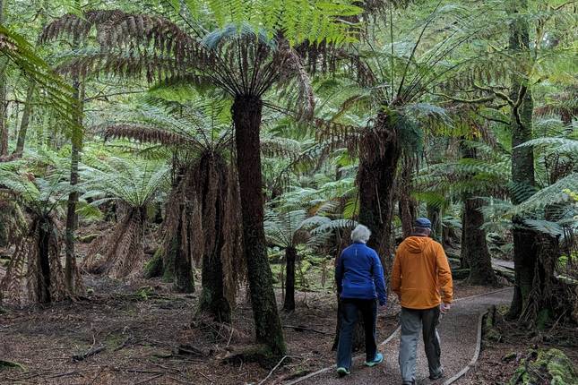 Tasmanian Discovery - 6 Day Comfort Tour of Tasmania by Under Down ...