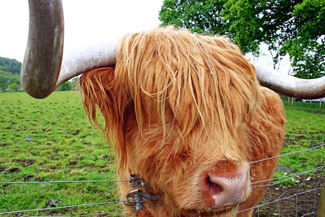 Discover Scotland (Glasgow to Edinburgh) (2025) by Collette with 31 ...