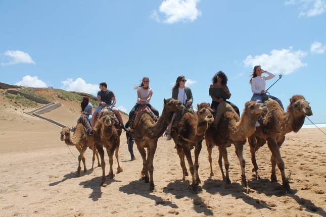 10 Best Sahara Desert Tours & Trips 2025/2026 - TourRadar