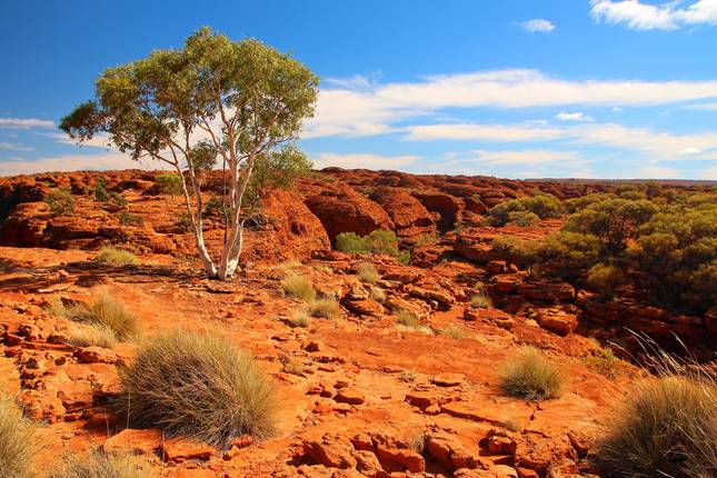 10 Best Australian Outback Tours & Trips 2025/2026 - TourRadar