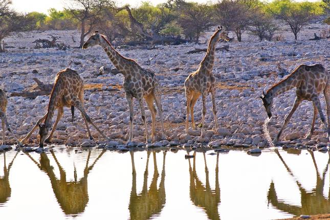 10 Best Namibia Tours & Vacation Packages 2021/2022 - TourRadar