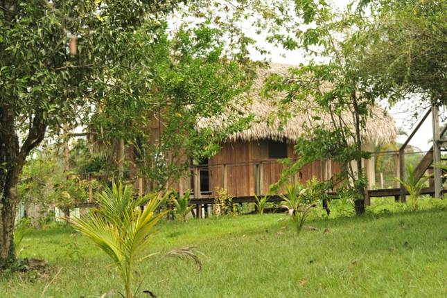 10 Best Amazon Tours in Brazil (Amazonas) 2022/2023 - TourRadar