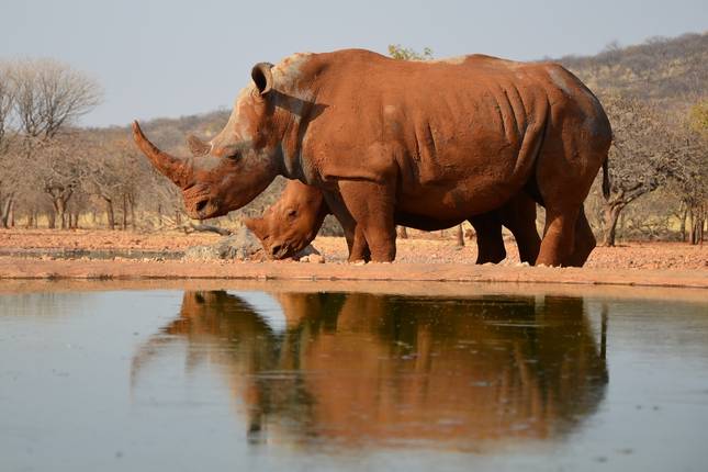 Journeys: Wonders of Namibia National Geographic Journeys by National ...