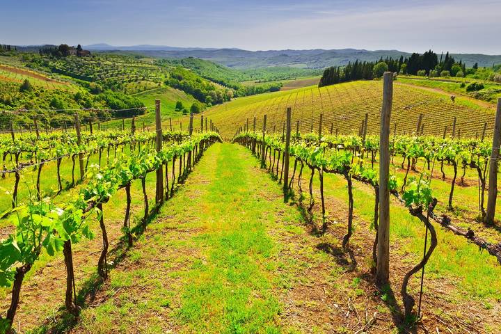 Classic Tour of Italy from Rome by Soleto Travel with 9 Tour Reviews ...