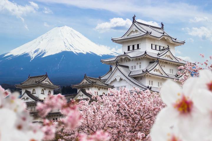 10 Best 7 Day Japan Tours & Trips - TourRadar