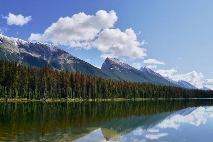 10 Best Canada Alaska Tours & Trips 2025/2026 - TourRadar