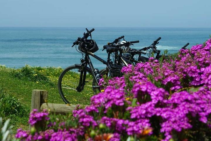 10 Best Bicycle Tours in Portugal 2025/2026 - TourRadar