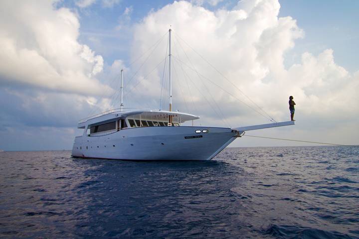 10 Best Maldives Tours & Trips 2025/2026 - TourRadar