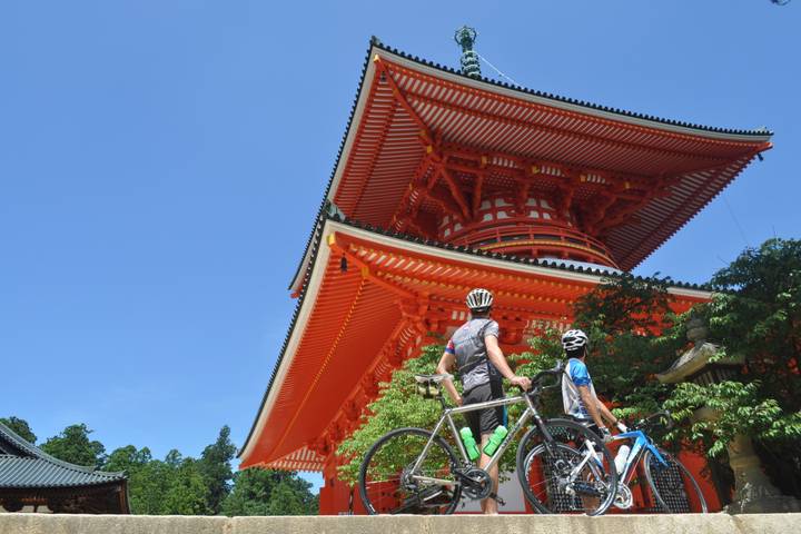 8 Best Cycling & Bike Tours in Japan 2024/2025 - TourRadar