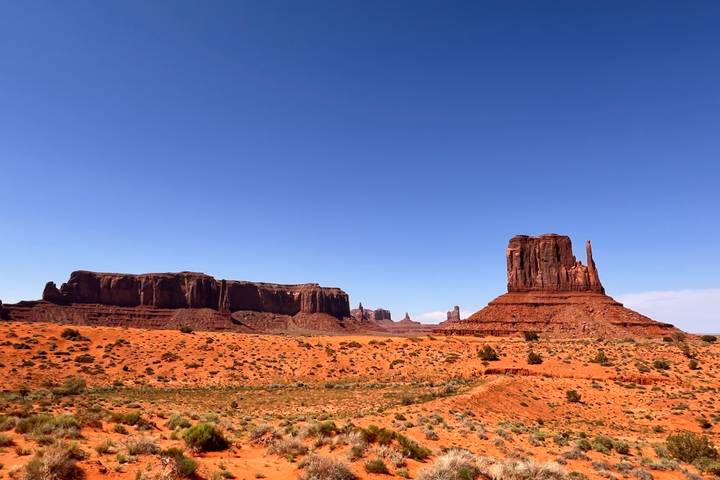 10 Best Coach / Bus Tours in USA 2025/2026 - TourRadar