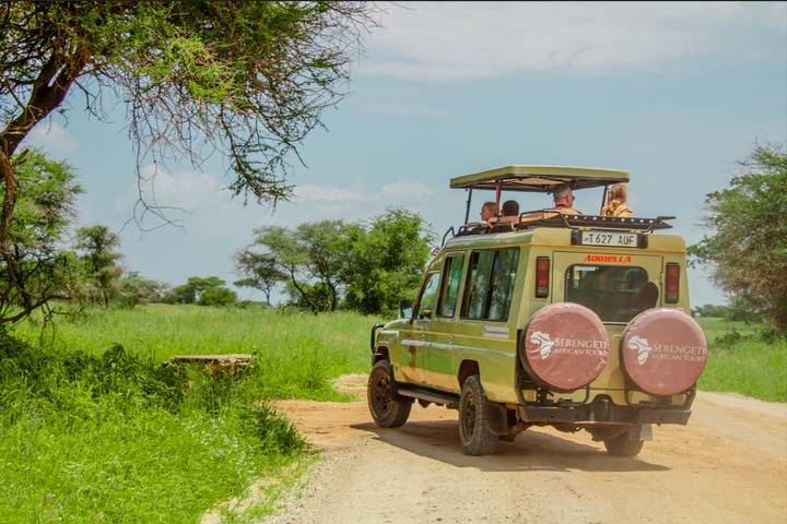 10 Best African Safari Tours 2024/2025 - TourRadar