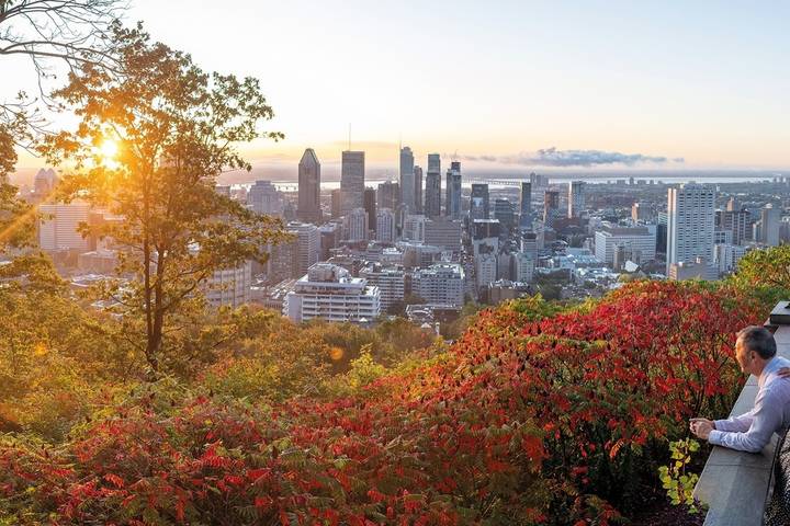 10 Best Ontario Tours & Trips 2025/2026 - TourRadar