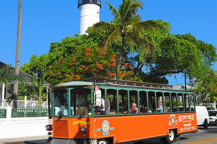 10 Best Caribbean Tours & Trips 2024/2025 - TourRadar