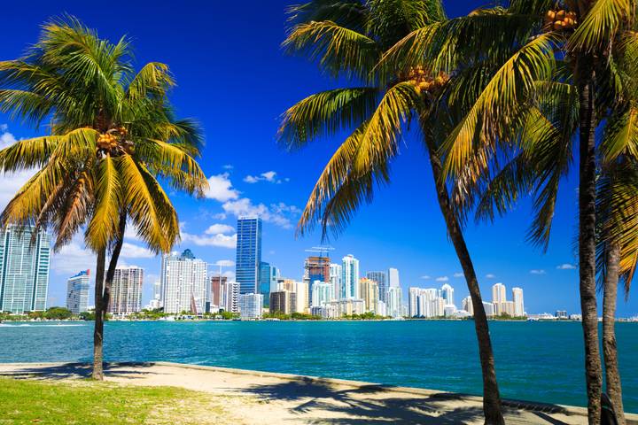 10 Best Florida Tours & Trips 2025/2026 - TourRadar
