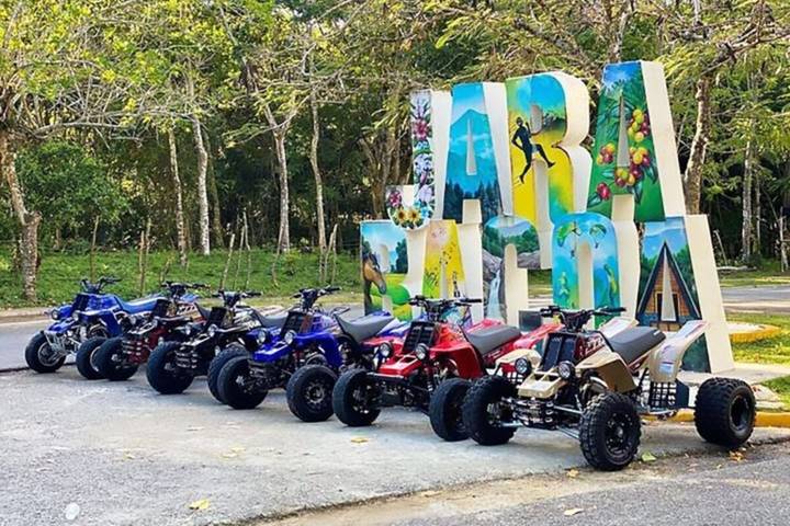 10 Best Dominican Republic Tours & Trips 2025/2026 - TourRadar