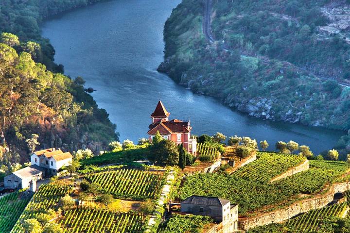 10 Best River Cruises from Porto - TourRadar