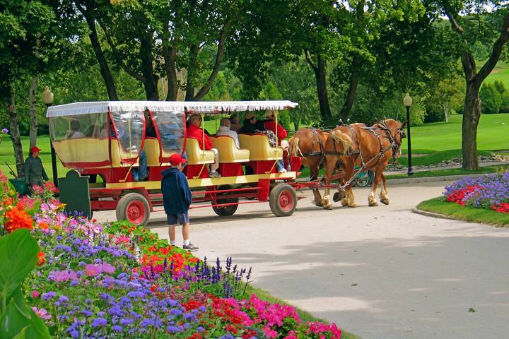 10 Best Tours of USA for Seniors and Over 50s - TourRadar