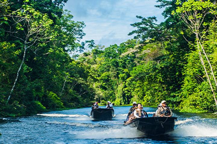 8 Best Amazon Rainforest Tours & Trips from Lima - TourRadar
