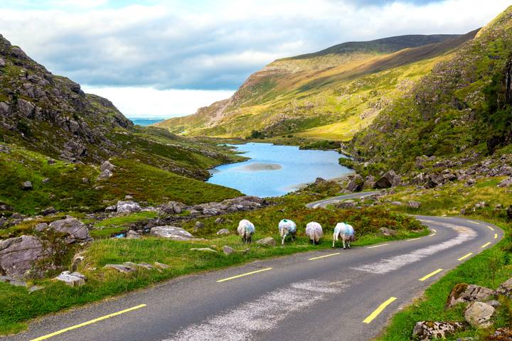 10 Best Self Drive Tours in Ireland 2025/2026 - TourRadar