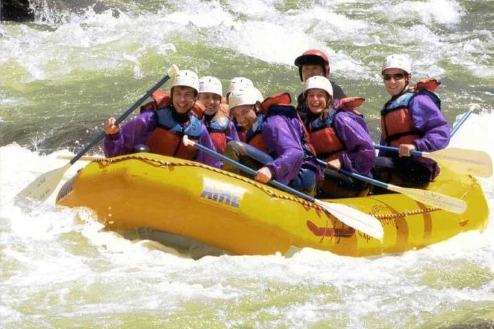 10 Best Jungle Trips & Tours 2025/2026 - TourRadar