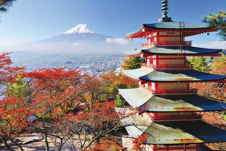 10 Best Coach / Bus Tours in Japan - Biggest Selection, Best Prices ...