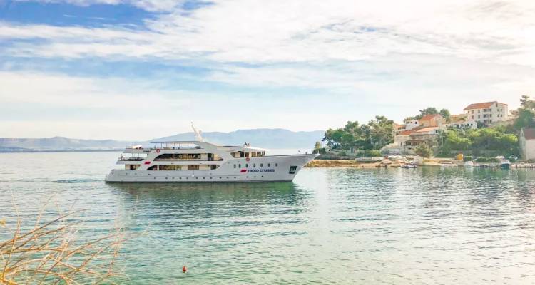 Nicko Cruises - 100 Reviews - TourRadar