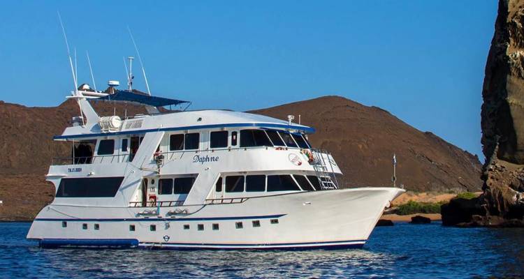 Intrepid Travel - 12,022 Reviews - TourRadar